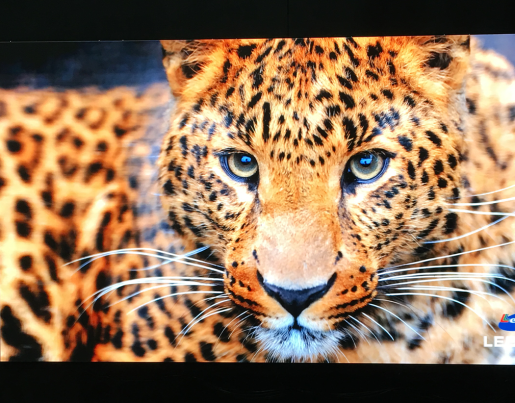 The Evolution of Giant LED Screens: Transforming Visual Communication ...